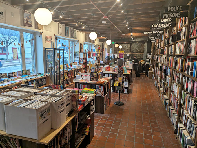 Between these shelves lie worlds waiting to be discovered&mdash;carefully curated titles that won't appear on airport bestseller racks.