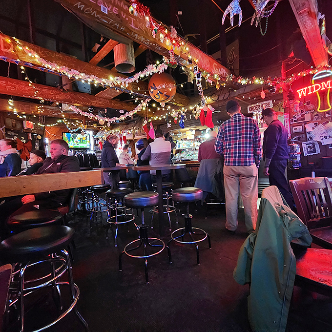 Where strangers become friends over shared chicken appreciation. The holiday lights overhead cast a warm glow on this community of food enthusiasts.