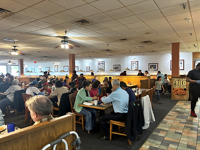 Where strangers become neighbors over second helpings. The true magic of buffets isn't just the food&mdash;it's the shared experience of collective indulgence.