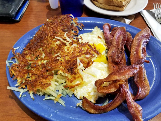 Bacon that's achieved that perfect crisp-yet-chewy texture alongside eggs and those legendary hash browns. Morning perfection on a blue plate.