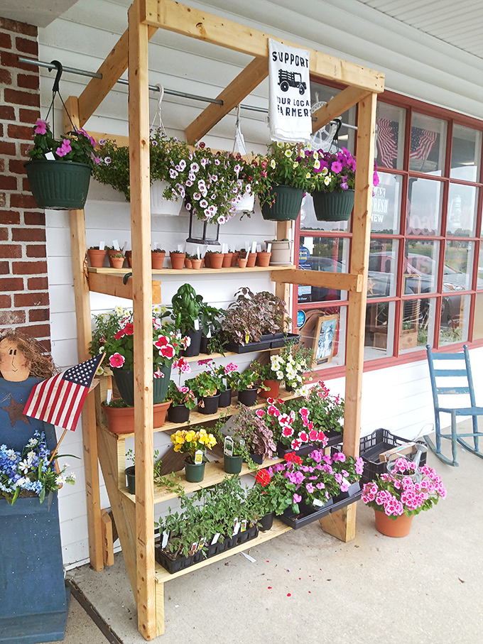 Even the exterior celebrates seasonal beauty with hanging baskets and potted flowers, proving Antique Alley knows the value of curb appeal.