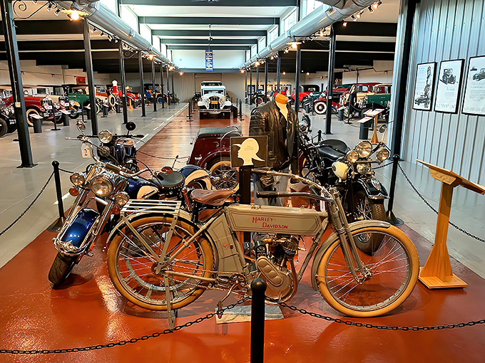 Vintage Harley-Davidsons stand proudly alongside their automotive contemporaries, a reminder that America's mechanical ingenuity runs on two wheels as well as four.