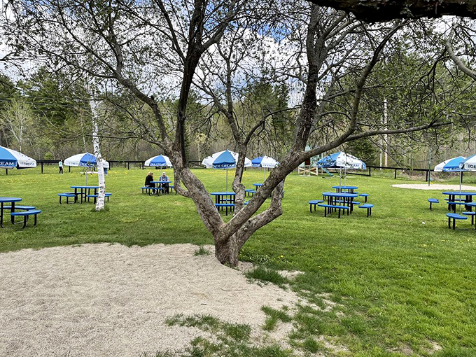 Nature provides the perfect dining room&mdash;blue tables scattered beneath trees that have witnessed generations of ice cream enthusiasts making important flavor decisions.