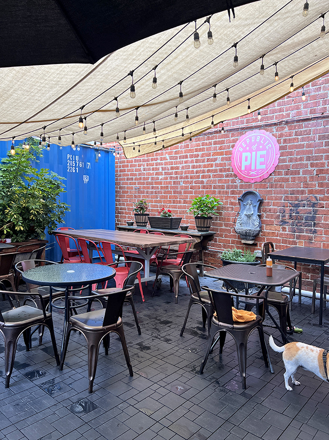 The outdoor patio at Republic of Pie feels like dining in a friend's surprisingly stylish backyard, where string lights create instant atmosphere.