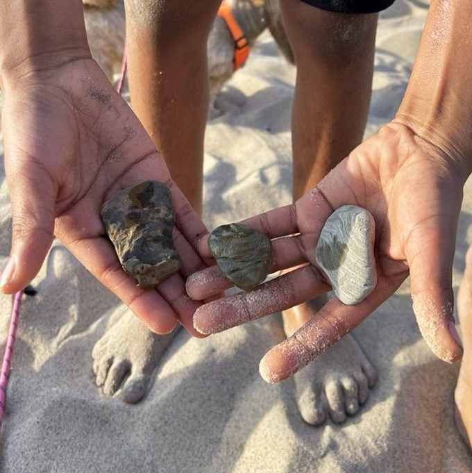 Treasure hunters display their lakeside bounty. Each uniquely patterned stone tells a geological story that's been millions of years in the making.