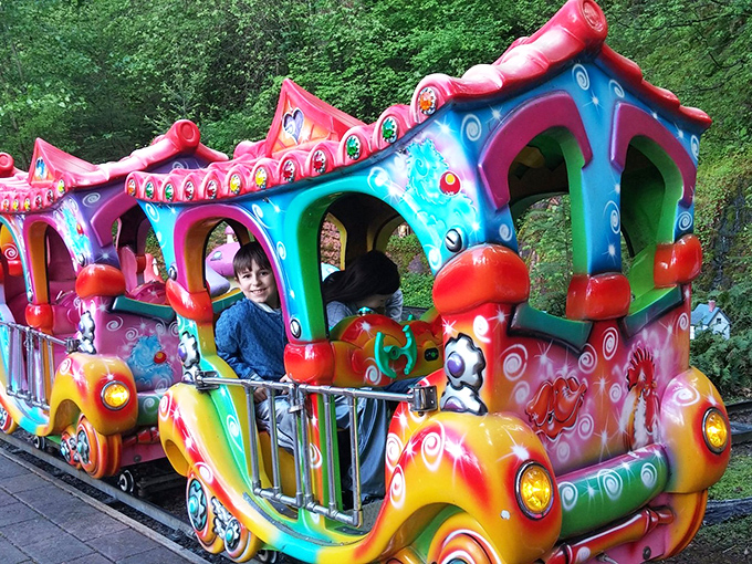 This colorful train carries passengers through the forest on tracks of imagination. All aboard the express to childhood nostalgia! 