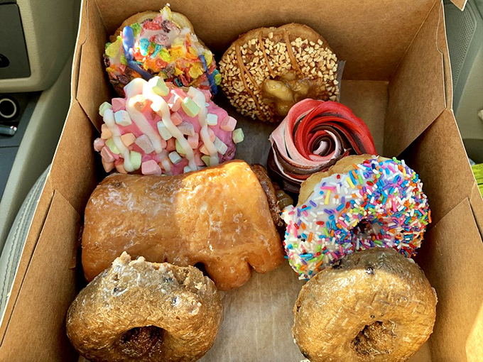 A box of assorted donuts is like a treasure chest for grown-ups. Each one a different adventure, no map required.