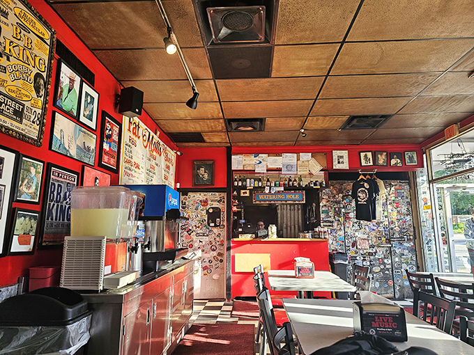 Every square inch covered with memorabilia, every surface telling stories—this isn't decoration, it's a barbecue museum where the exhibits taste amazing.