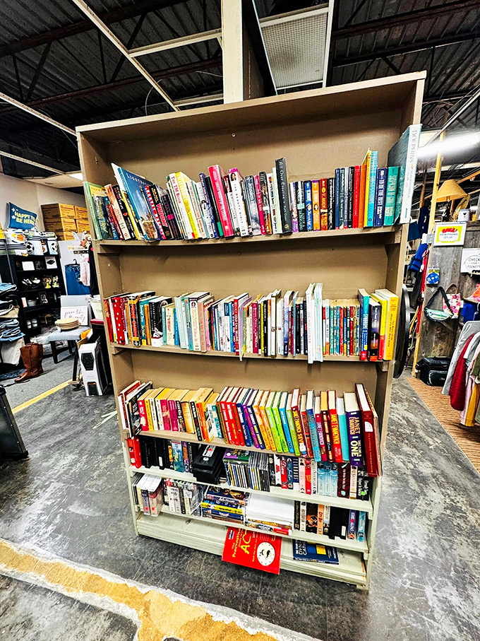 Books: the original escape rooms. These well-loved spines have already transported countless readers before offering you the same journey for pocket change.