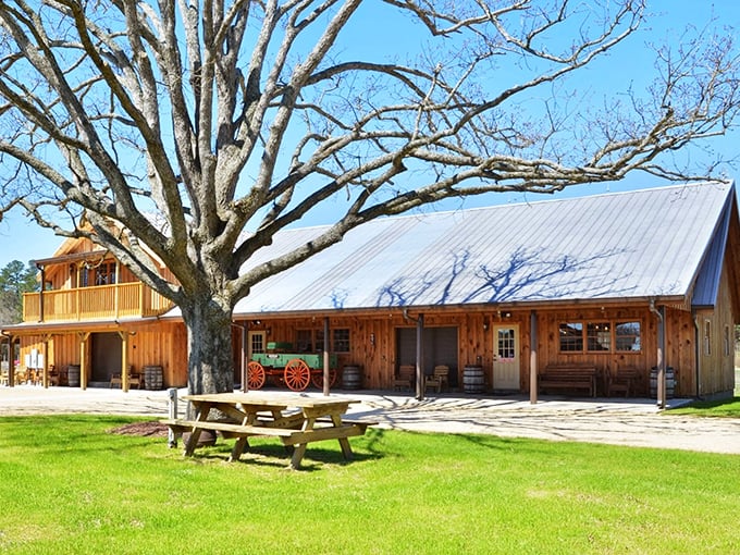 Beneath that sprawling oak, Broadslab Distillery connects past and present. Where craftsmanship isn't a marketing term&mdash;it's just Tuesday.