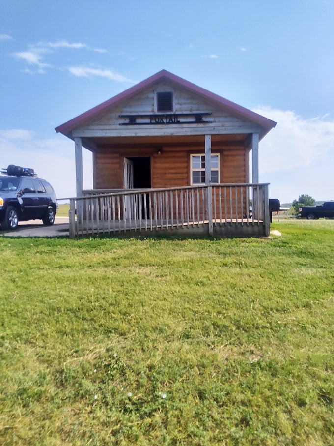 Rustic cabins offer shelter without sacrificing the wilderness experience. When tent camping feels ambitious but hotels feel too removed, these wooden havens hit the sweet spot.