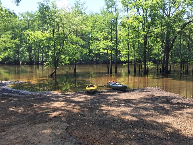 These tranquil waters near Jefferson hide kayaking adventures that are equal parts "National Geographic expedition" and "grandkids' future favorite memory."