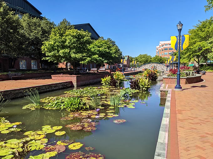 Carroll Creek Park transforms a flood control project into a water garden worthy of Monet. Those lily pads aren't just pretty&mdash;they're nature's perfect complement to Frederick's historic brick backdrop.