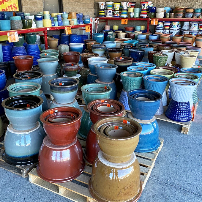 A pottery collection that would make any garden center blush with envy, displayed with all the subtlety of a ceramic rainbow after a discount storm.