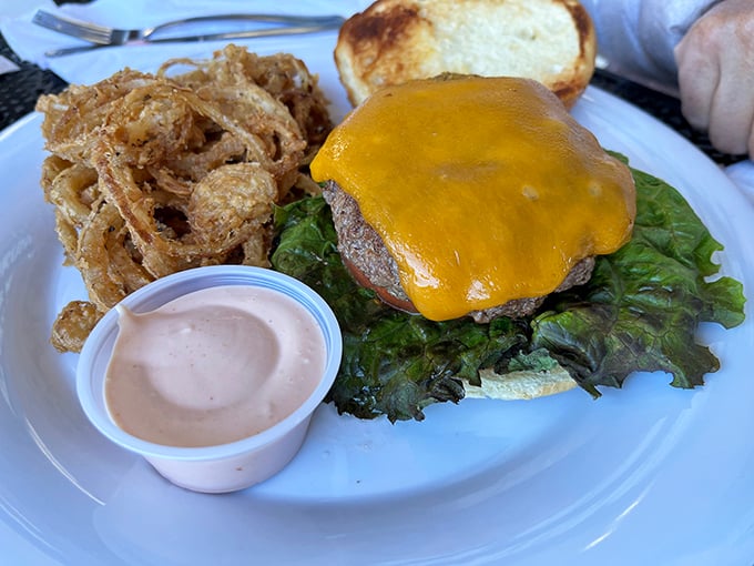 A cheeseburger that doesn't need a fancy introduction—it lets that melted cheese and those crispy onion strings do all the talking. The sauce cup is nodding in approval.