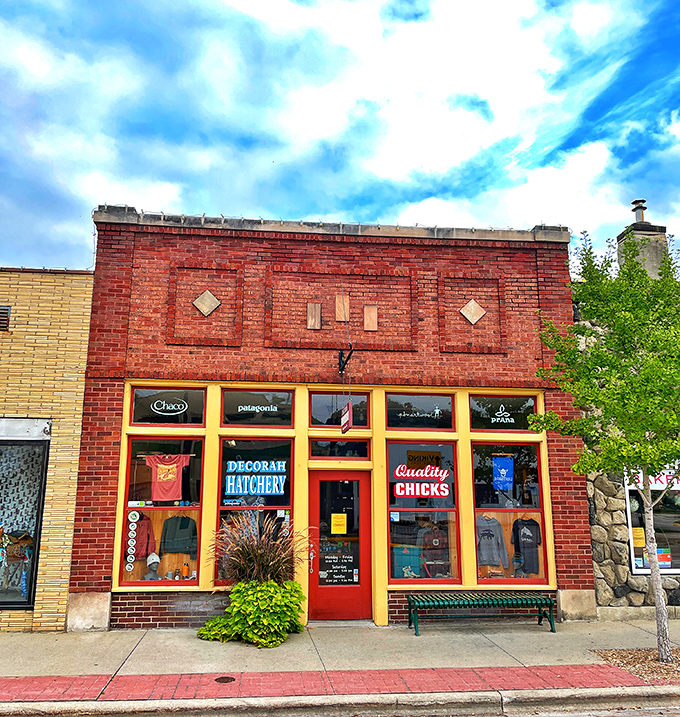 The Decorah Hatchery's cheerful storefront brings a pop of color to Water Street. That bright yellow trim is like a highlighter marking "stop here" in your antiquing adventure.