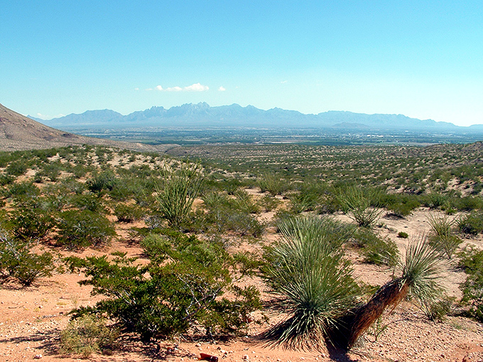 The vast Mesilla Valley unfolds beneath the Organ Mountains, a patchwork of desert and civilization that tells the story of the Southwest.