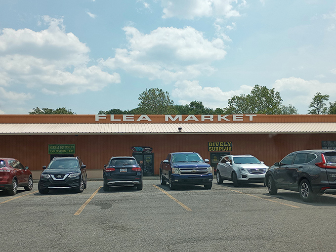 On sunny days, the Flea Market sign shines like a beacon to bargain hunters. Your wallet may be lighter when you leave, but your heart will be full.