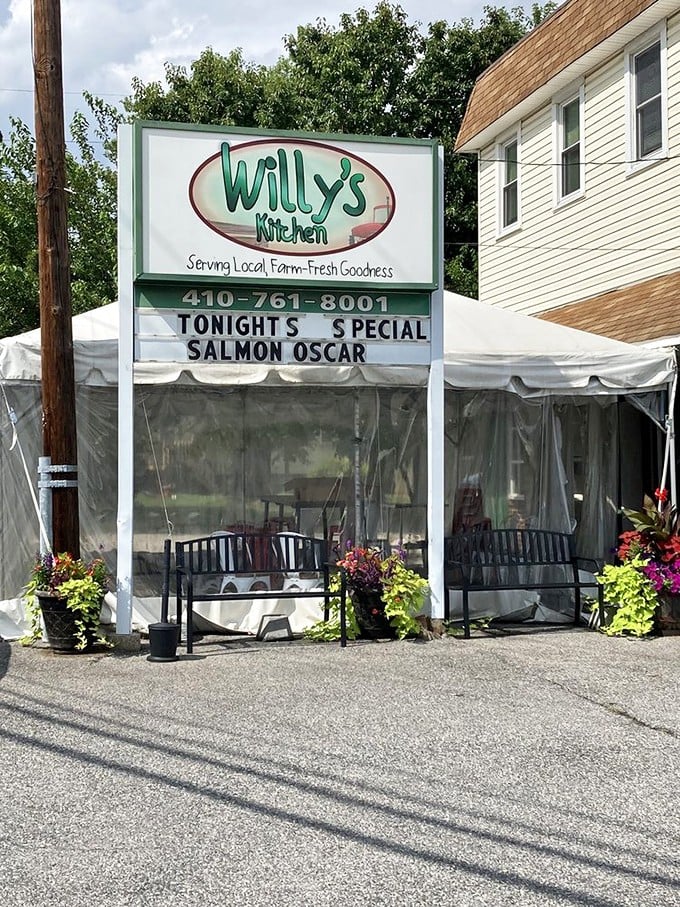 The sign changes, but the promise remains: "Serving Local, Farm-Fresh Goodness." Today's special&mdash;Salmon Oscar&mdash;proves Willy's Kitchen isn't just a one-hit chicken fried steak wonder.