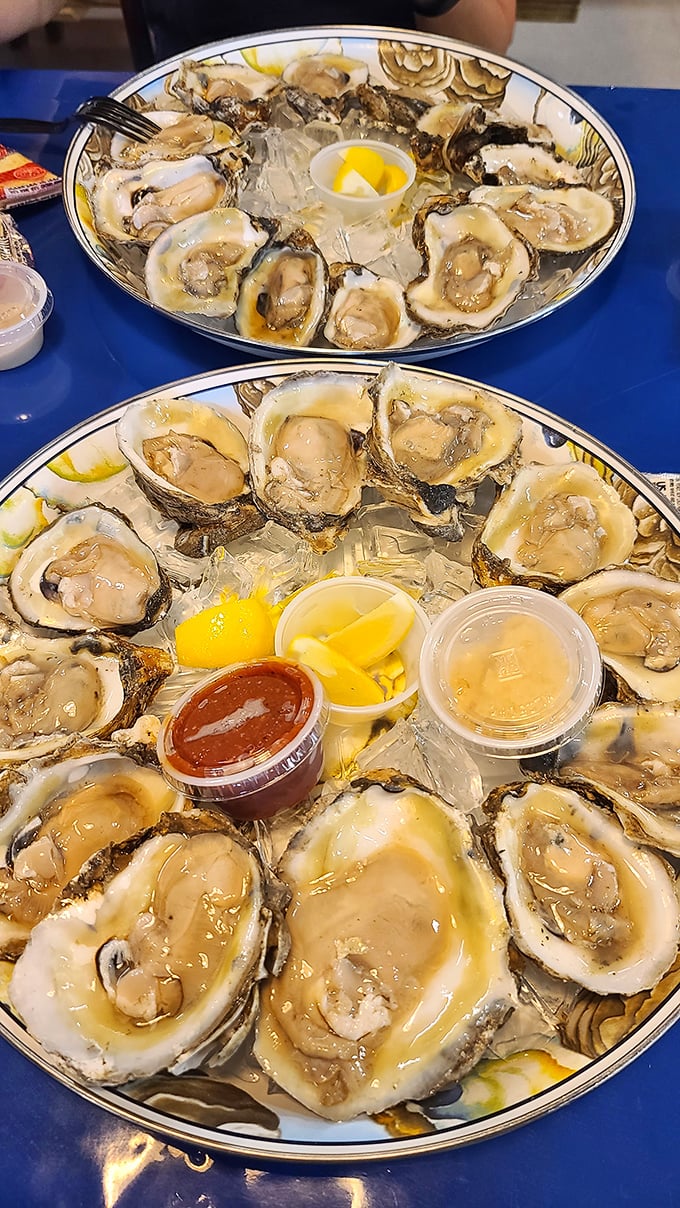 These oysters aren't just served&mdash;they're presented like the coastal treasures they are. Nature's perfect appetizer, arranged with reverence.