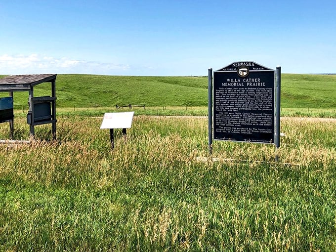 The Willa Cather Memorial Prairie stretches toward the horizon, the same endless sea of grass that inspired some of America's most beloved literature.
