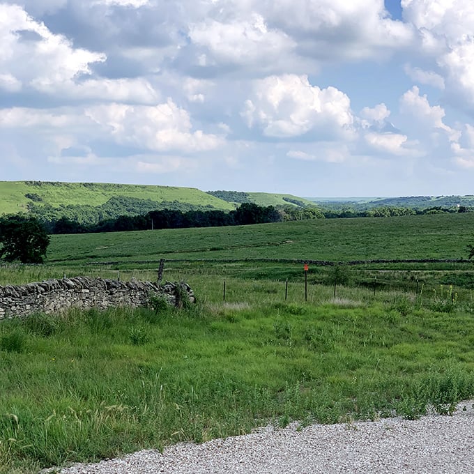 The Flint Hills roll away like waves in an ocean of grass. This isn't just scenery&mdash;it's one of North America's last intact tallgrass prairie ecosystems.