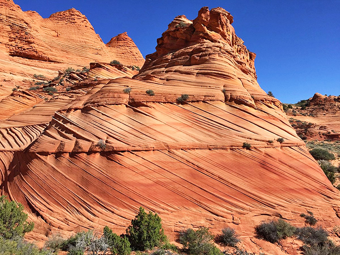 Mother Nature's layered cake of sandstone tells a geological story millions of years in the making—no birthday candles required.