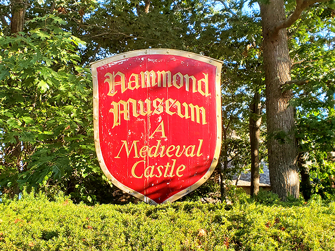 The weathered sign announces your arrival at a place where fantasy meets reality. Medieval dreams await just beyond those trees.