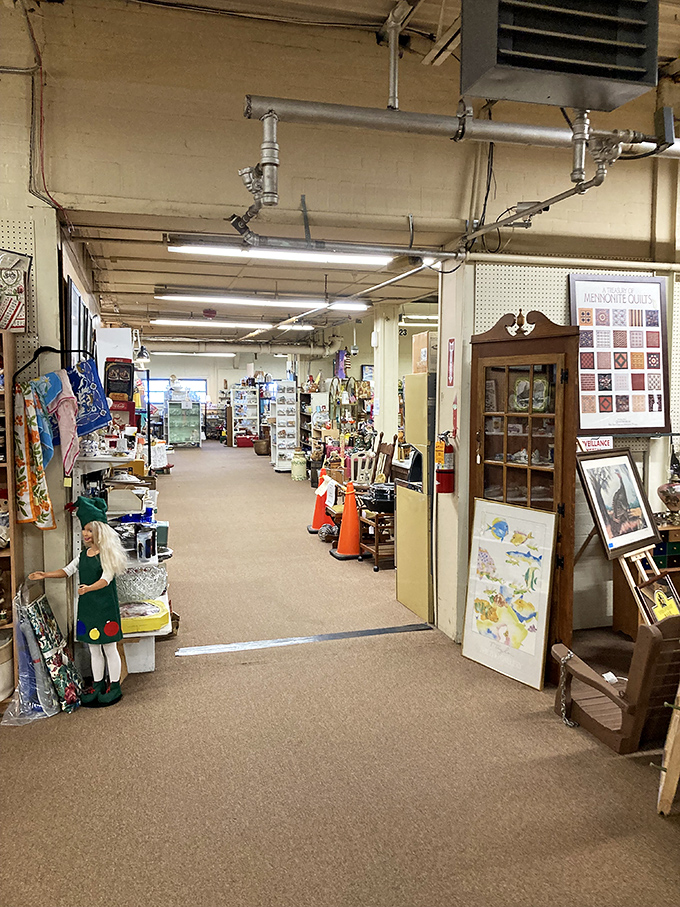 The sprawling interior reveals the mall's true scale &ndash; a labyrinth of collectibles where treasure hunters can lose themselves for hours in the best possible way.