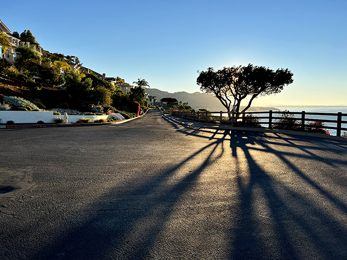 Shadows stretch like taffy as day winds down. California's golden hour transforms even a simple road into something worthy of a gallery wall.
