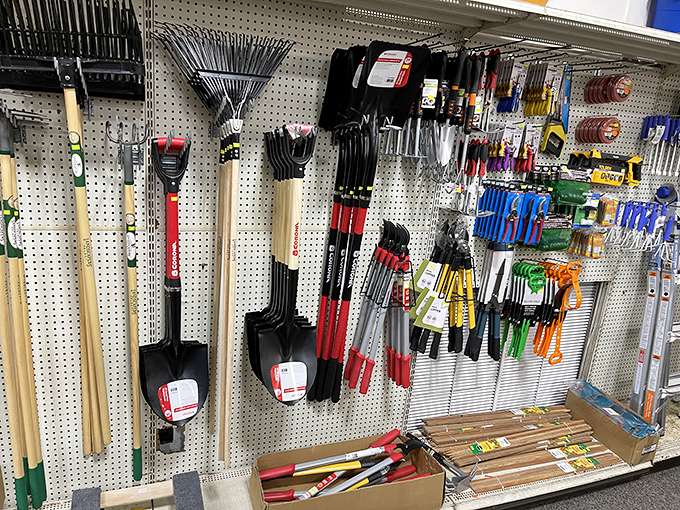 Tool time at Tom's &ndash; where weekend warriors and professional handyfolk alike find exactly what they need for projects big and small.