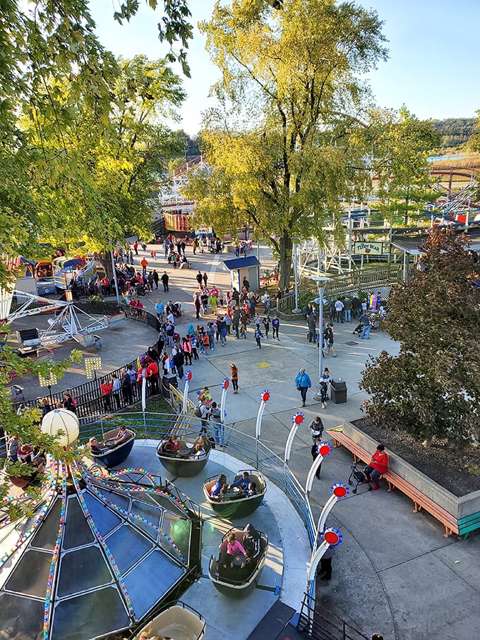 A bird's-eye view reveals the park's perfect proportions &ndash; intimate enough to feel manageable, yet packed with enough attractions to fill a day with non-stop smiles.