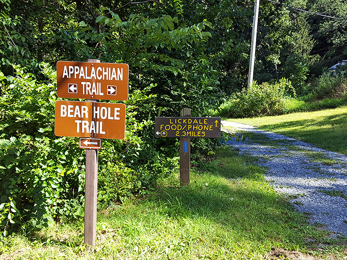 Trail signs point to adventures in multiple directions, like a choose-your-own-ending book where every choice leads to something beautiful.
