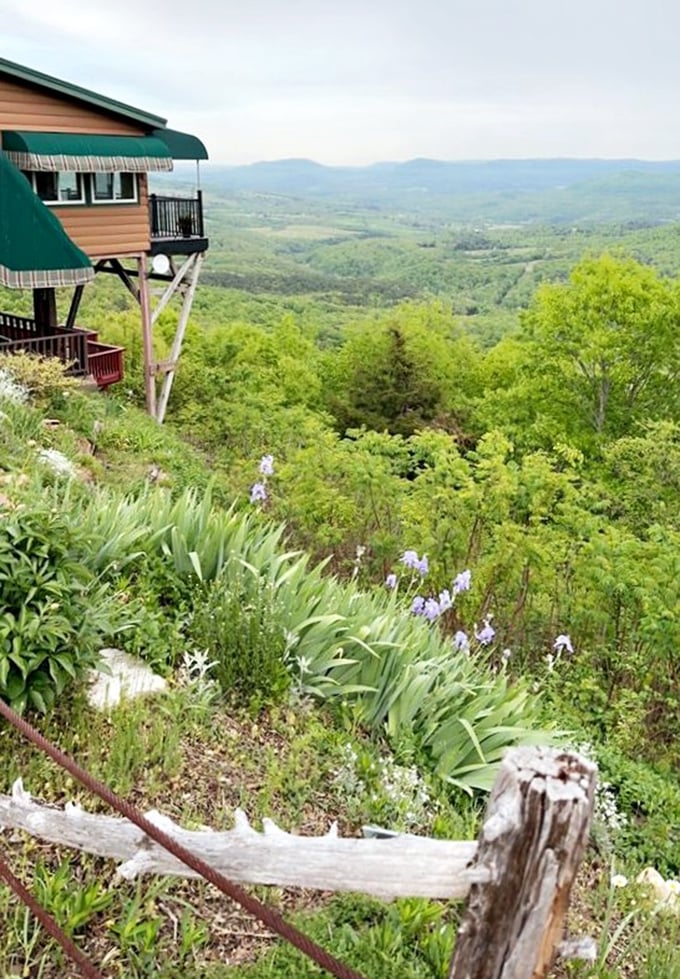 This isn't just a view&mdash;it's a painting that changes with the seasons. The Cliff House earns its name with this breathtaking Ozark vista.