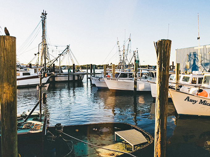 The working docks behind Safe Harbor&mdash;where your dinner begins its journey. These boats aren't for show; they're the first essential ingredient.