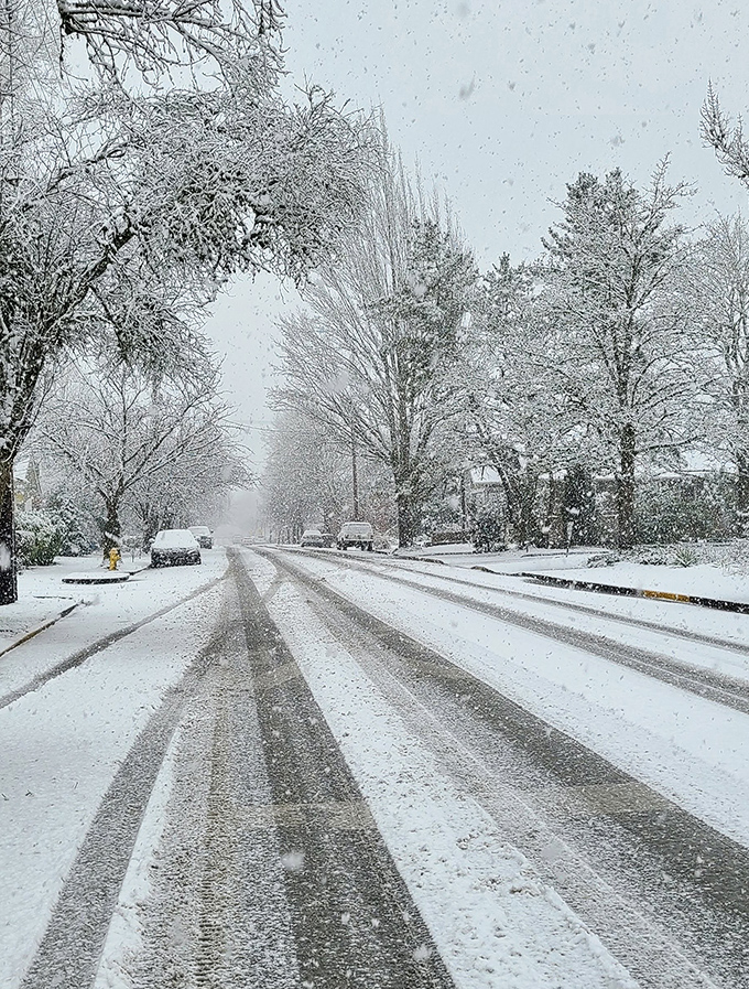 McMinnville under snow looks like the winter scene your holiday village collection has been trying to capture all these years.