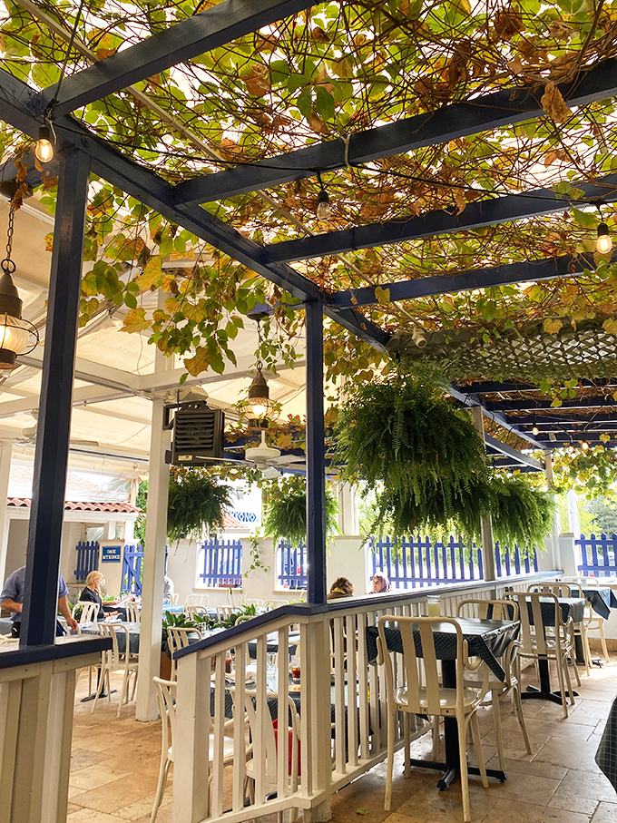Dining under a canopy of grape leaves and hanging plants&mdash;the closest thing to a Greek taverna you'll find without needing your passport.