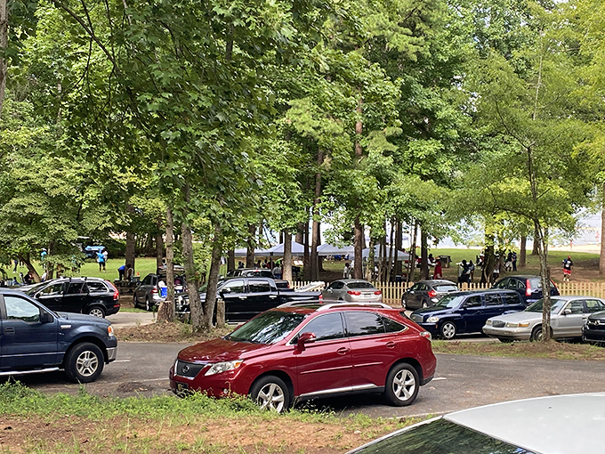 Even on busy days, the park maintains its peaceful atmosphere. Cars gather while their owners scatter to find their own slice of natural solitude.