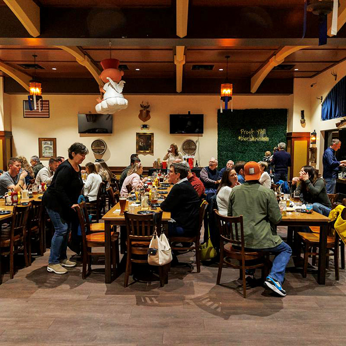 When strangers become tablemates over steins of beer and plates of schnitzel, you're experiencing the true essence of a German bierhaus.