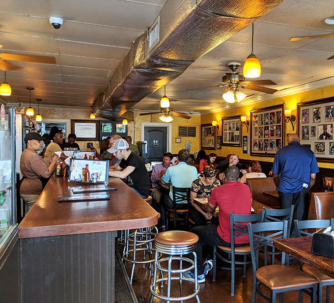 Where strangers become friends over shared food experiences. The dining room hums with the universal language of "mmm."