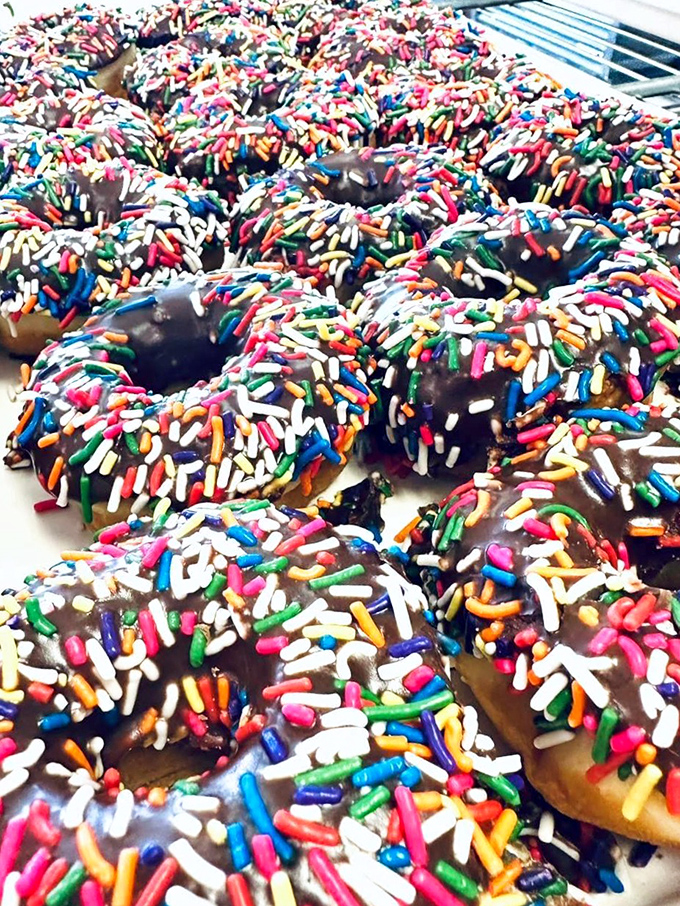 Chocolate donuts with rainbow sprinkles prove that sometimes happiness is simple: fried dough dressed for life's best party.