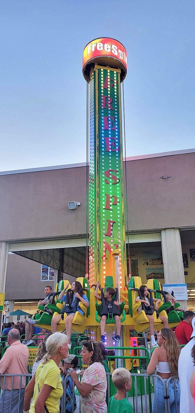 The Free Spin delivers exactly what it promises&mdash;a thrilling vertical adventure that tests courage and occasionally lunch decisions.