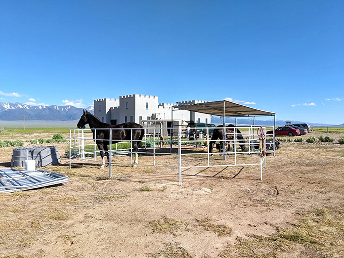 Even the castle's equine residents enjoy the good life, with mountain views that would make any horse (or human) neigh with delight. Royal accommodations extend to all creatures.