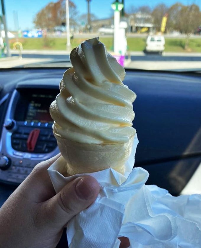 The dessert finale: soft-serve ice cream, the perfect cool, creamy counterpoint to hours of smoky meat. Sometimes simplicity is the ultimate sophistication.