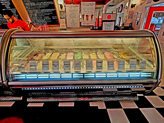 The display case—a frozen museum where each flavor waits patiently for its moment of glory in your eager hands.