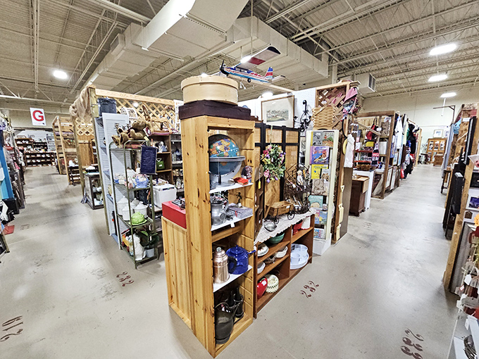 The organized chaos of collections speaks to our human desire to categorize, collect, and connect with objects that outlive their original owners.