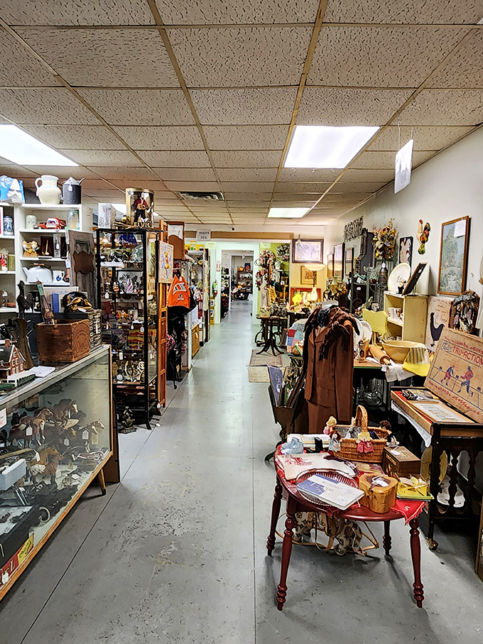The long view reveals the true scale of this treasure trove&mdash;aisles stretching into the distance like an Indiana Jones warehouse for vintage enthusiasts.
