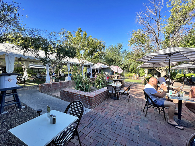 Outdoor dining at Luci's: where desert landscaping and comfort food create the perfect Arizona morning soundtrack.