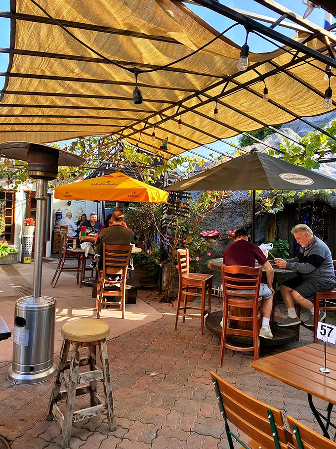 The outdoor oasis where California sunshine meets German hospitality. Dappled light through fabric creates the perfect setting for unhurried pleasures.