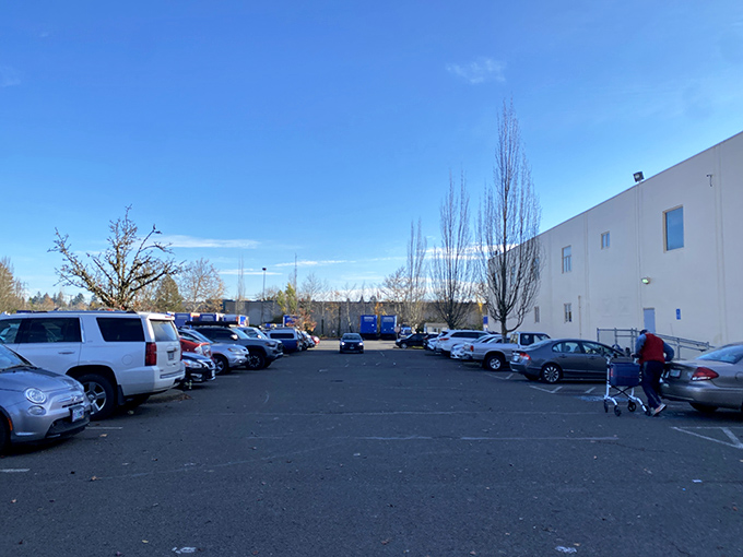 Even the parking lot feels full of potential. Each car represents another treasure hunter on their quest for the perfect unexpected find.